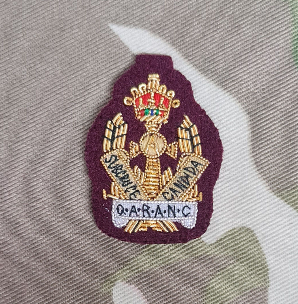 Queen Alexandra's Royal Army Nursing Corps QARANC (16 Medical Regiment ...